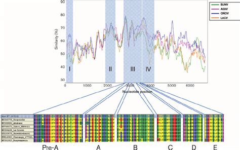 Large Rdrp L Conserved Regions Simplot Analysis Identifies Regions