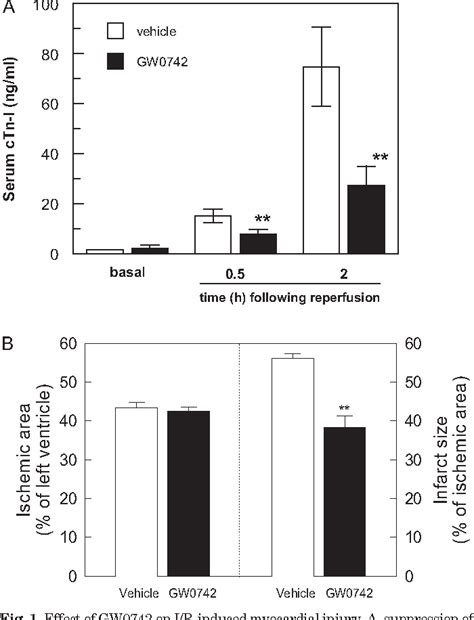 Figure 1 From In Vivo Activation Of Peroxisome Proliferator Activated