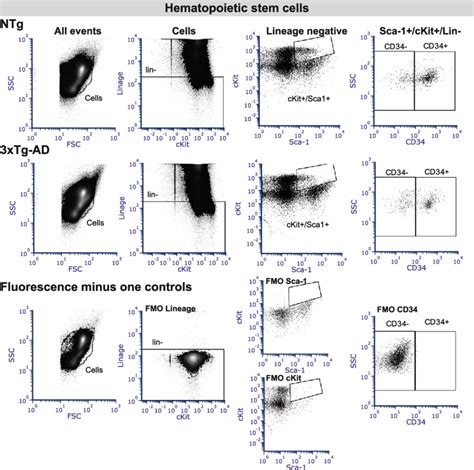 Representative Flow Cytometry Plots For Bone Marrow Hematopoietic Stem Download Scientific