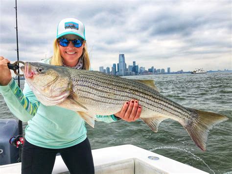 Striped Bass Fish