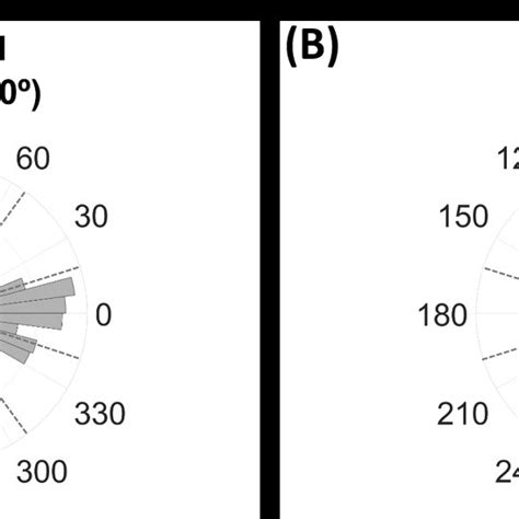 Rose Plot Of Phase Accuracy For Valid Trials Across Participants A In