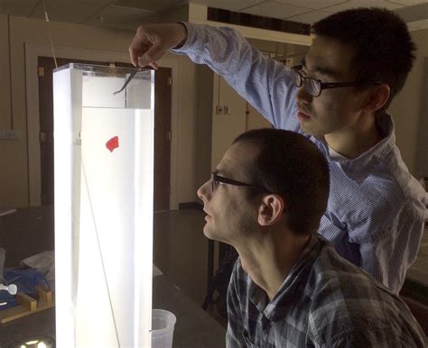 Madison Applied Math Lab