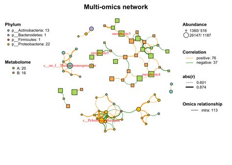 Metanet Network Analysis For Omics Data Visualization
