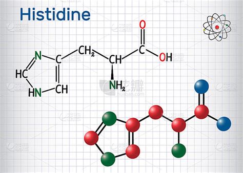 组氨酸 L 组氨酸，his H 氨基酸分子。它被用于蛋白质的生物合成。笼子里的一张纸。结构化学式和