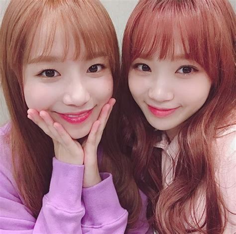 조유리 김채원 은근 케미 잘맞아 인스티즈 Instiz 연예 카테고리
