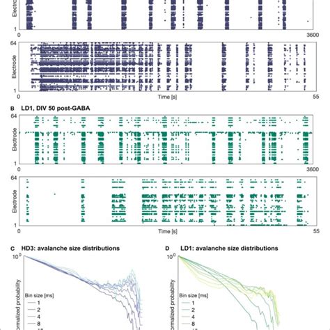 Figure Raster Plots And Avalanche Size Distributions On Div Vv