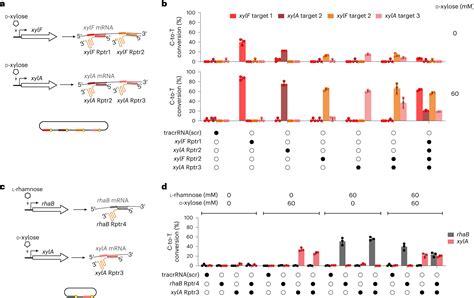 Deciphering Disease Progression And Cell Processes With Tiger In Vivo