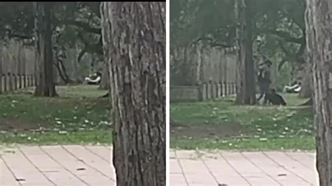 Llevó A Su Hija A Conocer Un Museo Y Se Encontraron Con Una Pareja Que