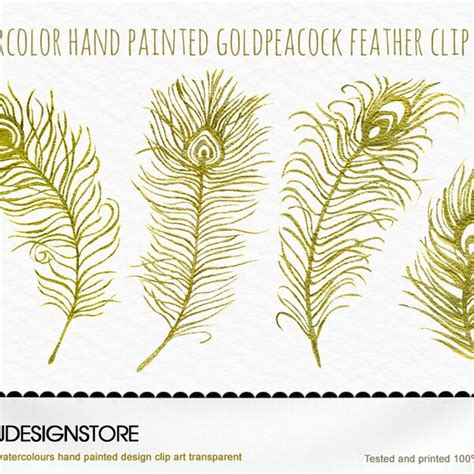 Peacock Feather Logo Etsy
