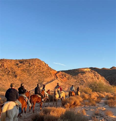 Wild West Horseback Adventures All You Should Know Before Going 2026