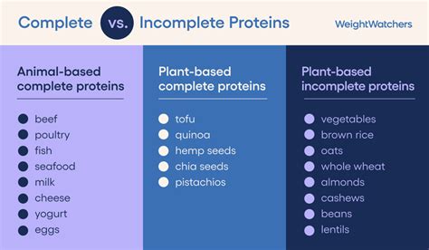 Complete Protein Vs Incomplete Protein What Is The Difference