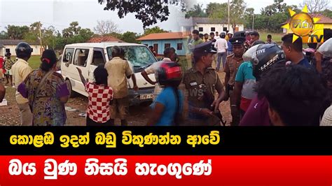 කොළඹ ඉදන් බඩු විකුණන්න ආවේ බය වුණ නිසයි හැංගුණේ Hiru News Youtube