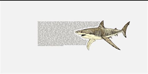 frontend forever we offers free online source codes about frontend development video tutorial