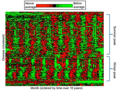 pre processed and row normalized monthly incidence for 227 codes