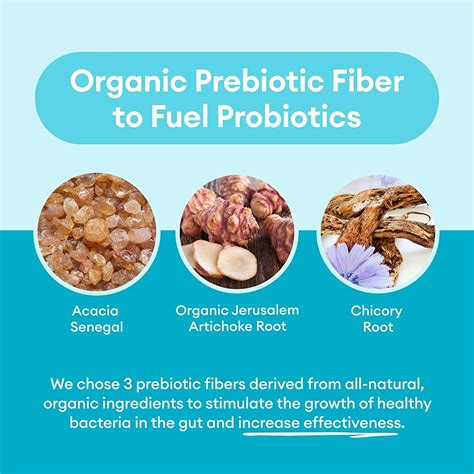 60b Cfu Physicians Choice Probiotics 10 Diverse Strains Amerikasepetim