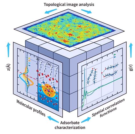 Can We Identify Topological Features That Are Not Clear By Mere Visual Inspection Check Out Our