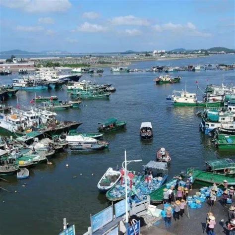 河北渔港开渔后渔货满仓 池仔 码头 收购