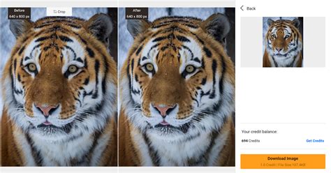 Elevating Wildlife Photography To Hd Ai Driven Sharpness Enhancement