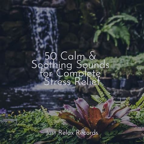 Play 50 Calm And Soothing Sounds For Complete Stress Relief By Nature