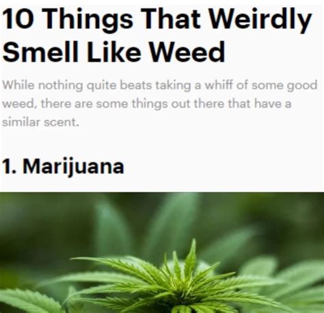 Fun Fact R Trees