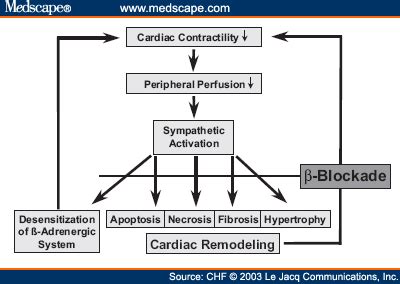 Beta Blocker Treatment Of Chronic Heart Failure