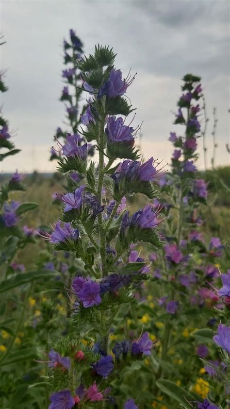 Уютно и живописно Интерьерные картины Меня зовут Яна 2024 ВКонтакте