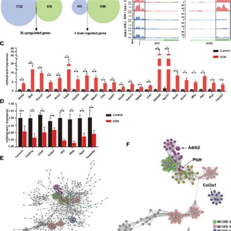 The Association Between The Specific Chromatin Accessible Regions And