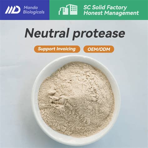 Wholesale Raw Material Neutral Protease Food Grade Bacillus Subtilis Protease 50000 Active
