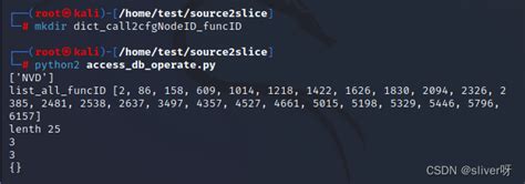 4、sysevr复现——generating Slices Csdn博客