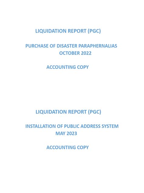 Liquidation Report Pdf