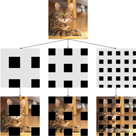 一文看尽深度学习中的各种数据增强 知乎