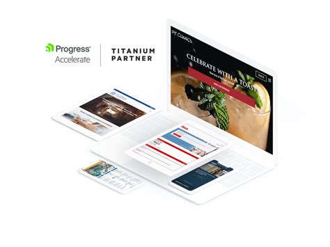 Sitefinity Cms Platform Development
