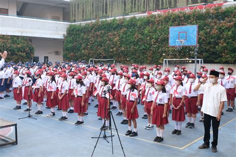 Galeri Sd Strada Nawar
