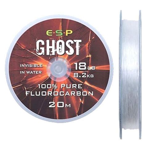 Esp Ghost