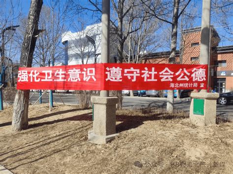 【统计动态】海北州统计局积极开展第36个爱国卫生月活动宣传建设方式