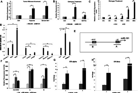 Transcriptional Regulation Of Mir 191 A Stem Loop Qrtpcr Data