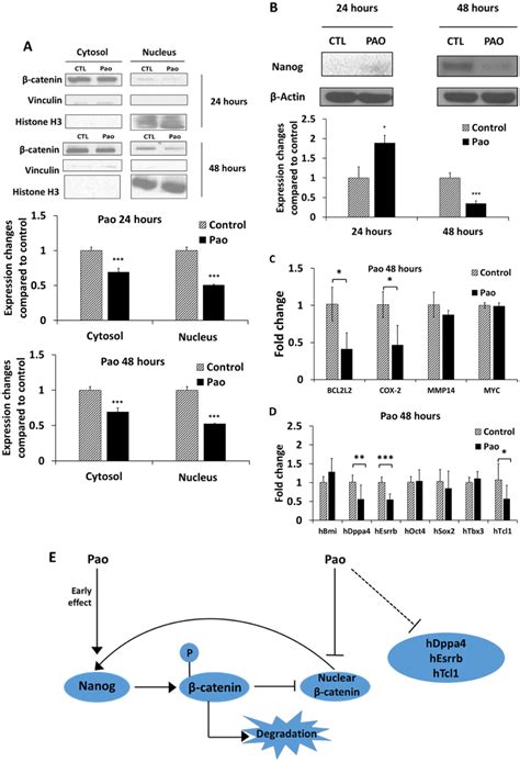 Extract Of The Medicinal Plant Pao Pereira Inhibits Pancreatic Cancer