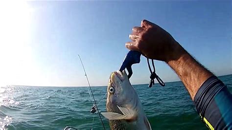 PESCA DE CORVINA CAIAQUE YouTube