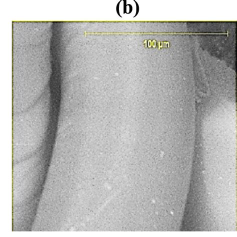 Surface Morphology Of Uncoated A Bare TiO2 Coated B And V Doped