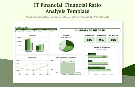 IT Financial Financial Ratio Analysis Template In Google Sheets Excel