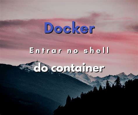 Como Entrar No Shell De Um Container De Docker Terminal
