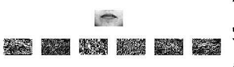 Figure 2 From Dtcwt Based Dynamic Texture Features For Visual Speech