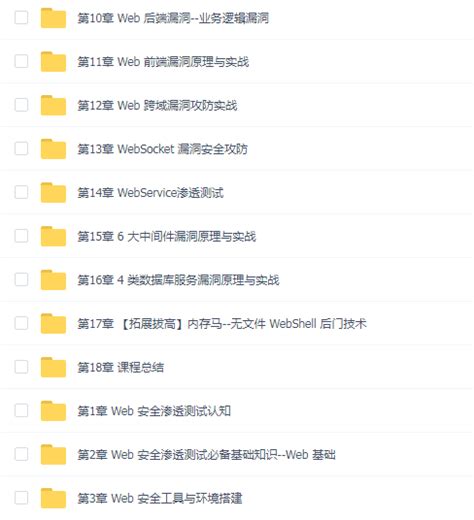 Web安全渗透测试 上百个真实案例逐一讲解，掌握绝大多数web漏洞2米资源网
