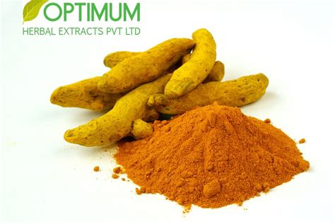 Natural Curcumin Extract At Best Price In Chennai By Optimum Herbal