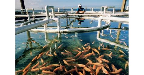 Стартират информационни дни за представяне на отворените мерки по ПМДР 2014 2020 г Български