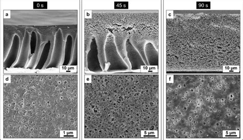 Sem Micrographs Show The Structure Of The Composite Membranes As A Download Scientific Diagram