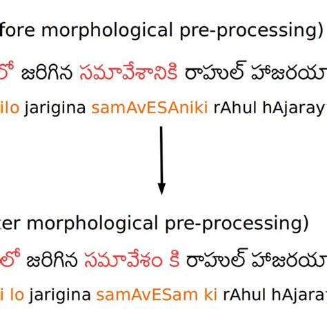 morphological pre processing download scientific diagram