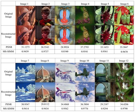 An FPGA Implementation Of A Convolutional Auto Encoder