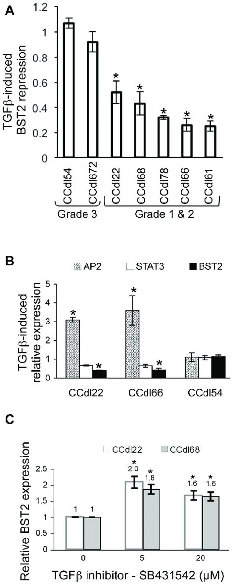 Regulation Of Bst2 Expression By Tgfb In Breast Cancer Cells A