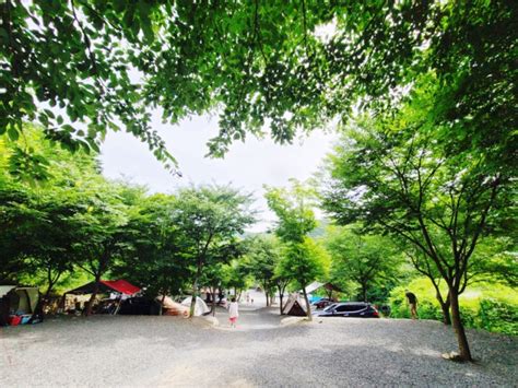 경주 캠핑장 여름에 즐기는 산내 별빛 오토캠핑장 2박3일 아이와 함께 감성캠핑~ 네이버 블로그